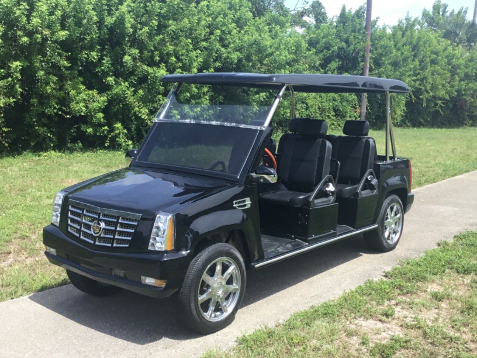 Custom 2013 Acg Golf Cart for sale
