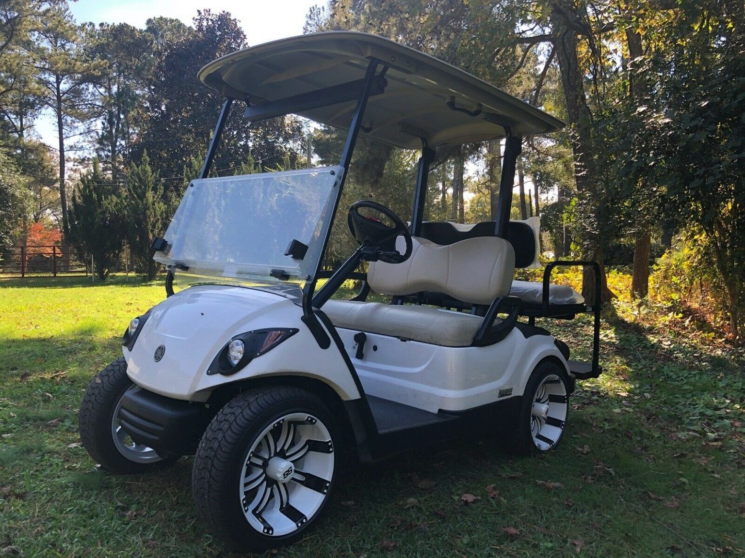 2016 Yamaha Drive gas golf cart [fuel injected] for sale