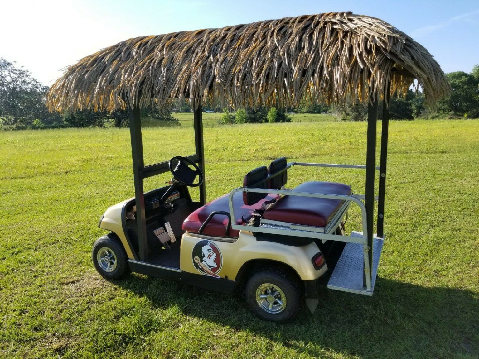 2004 Yamaha gas golf cart [custom tiki hut] for sale