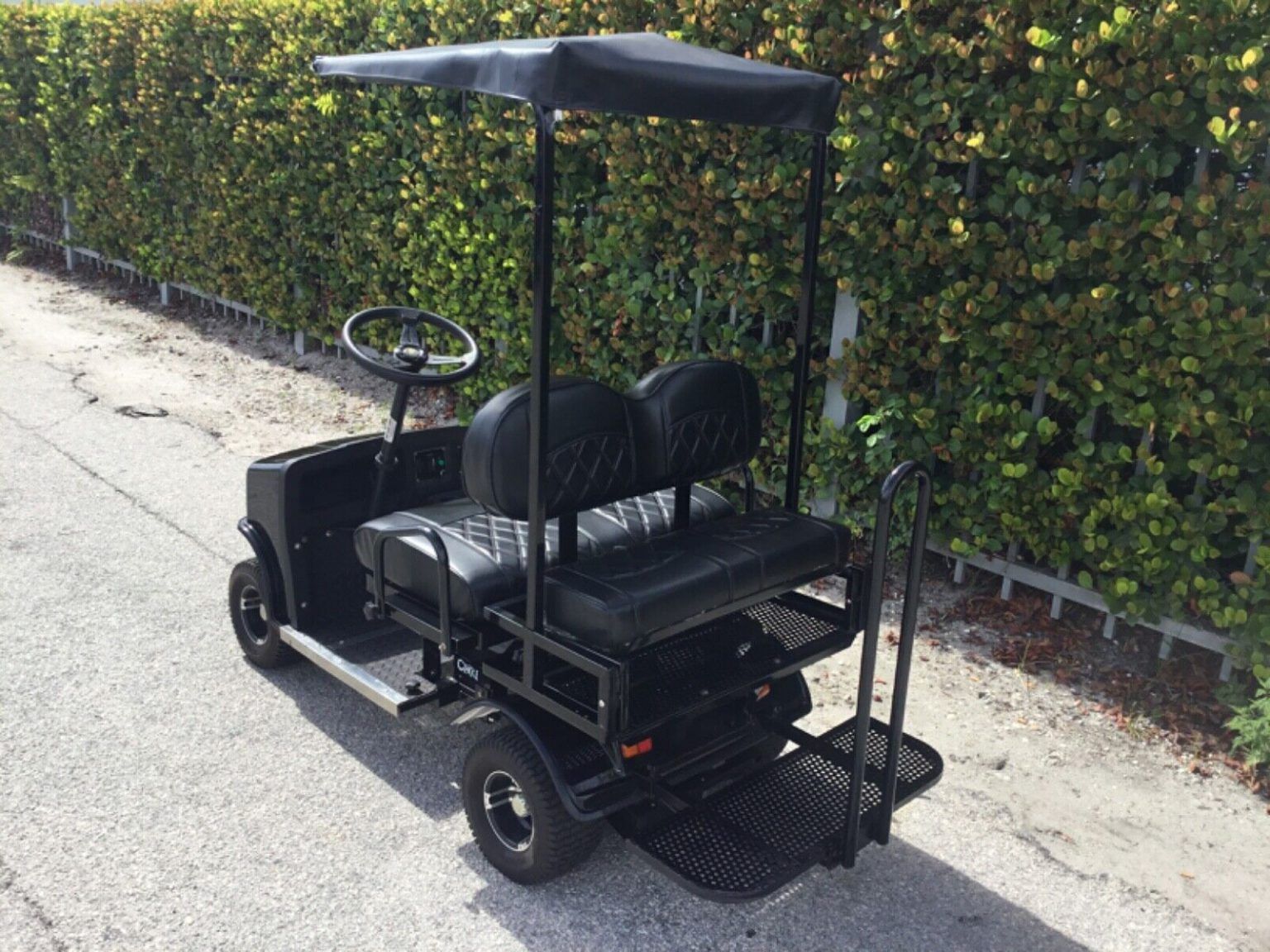 2019 Cricket MINI GOLF CART [very good shape] for sale