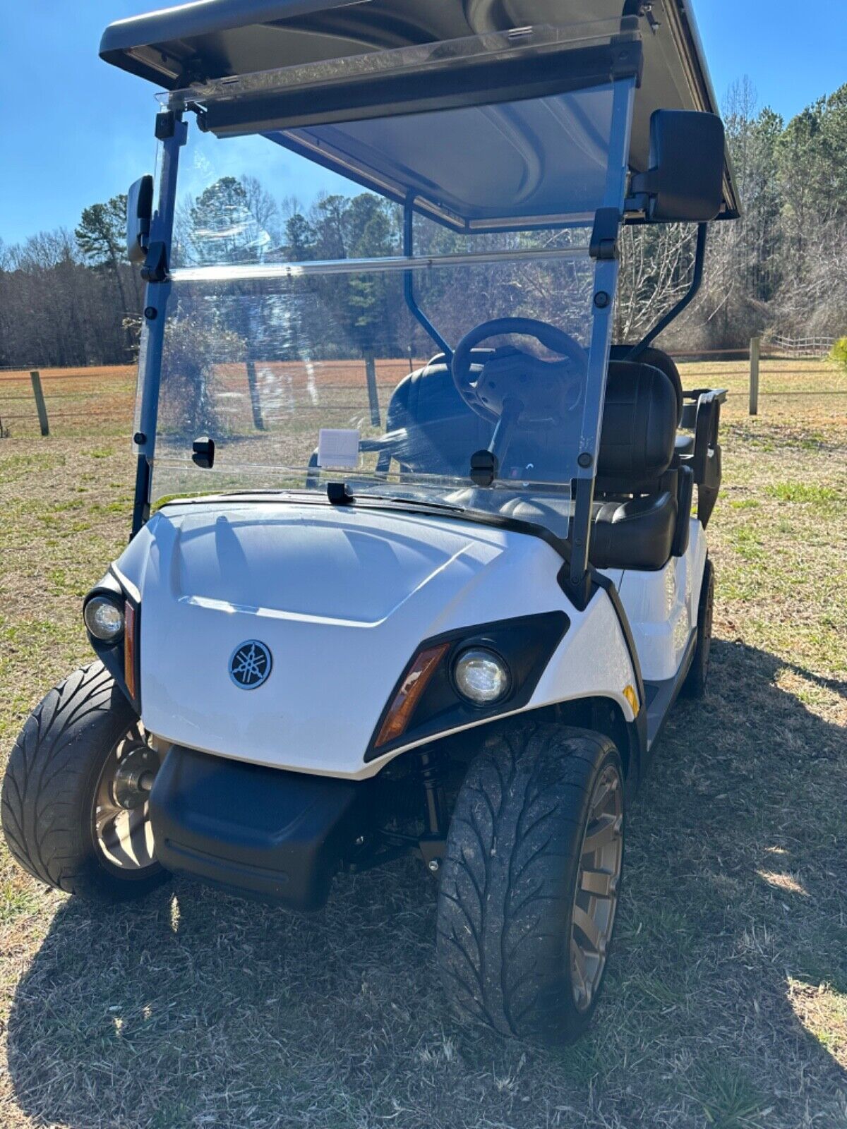2022 Yamaha Drive 2 Golf cart [used for performance kit demonstration ...